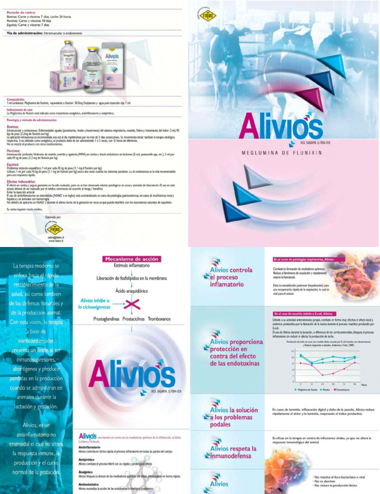 Alivios | PDF
