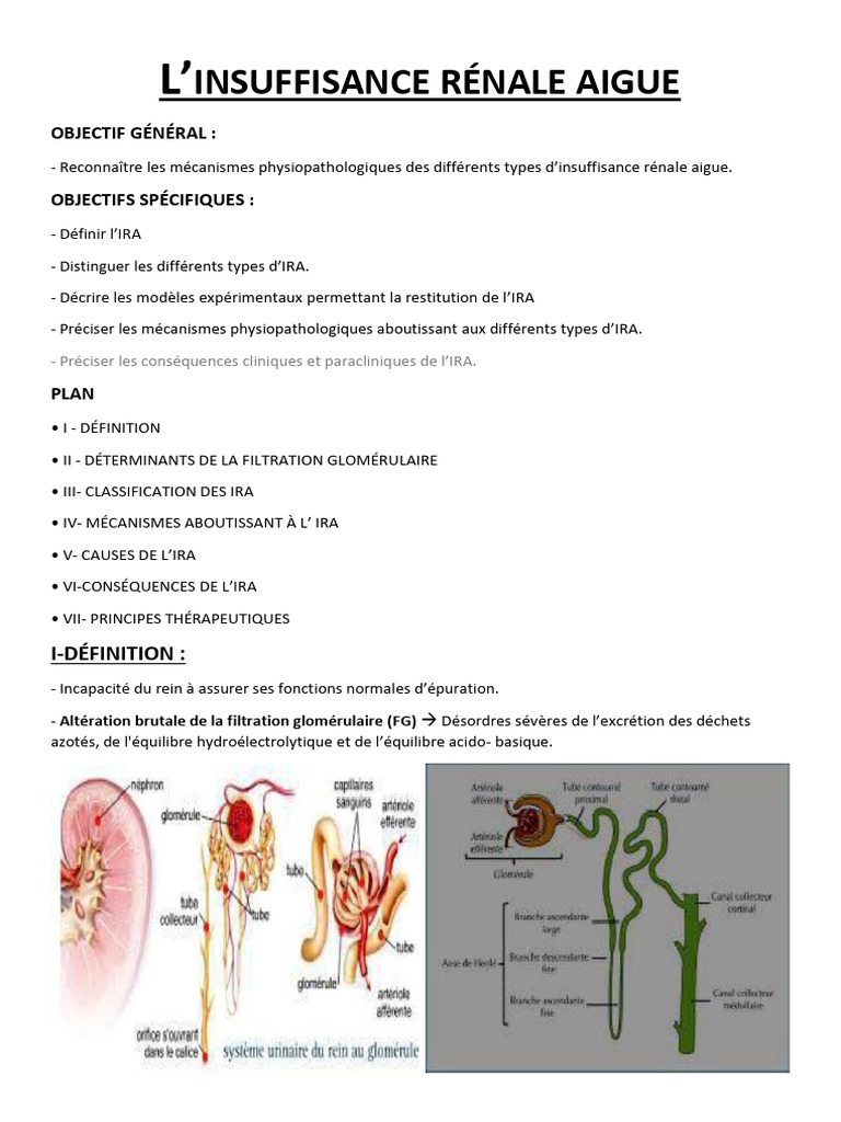 Mécanismes de l'Insuffisance Rénale Aiguë | PDF | Rein | Spécialités ...