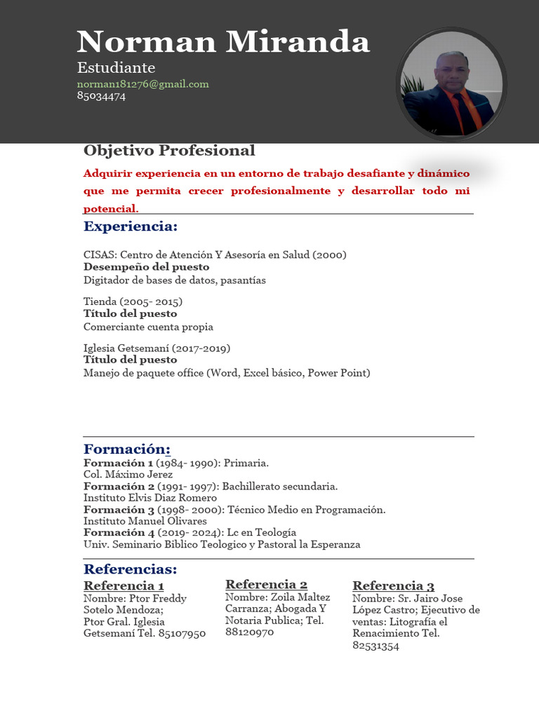 Perfil Profesional de Norman Miranda | PDF