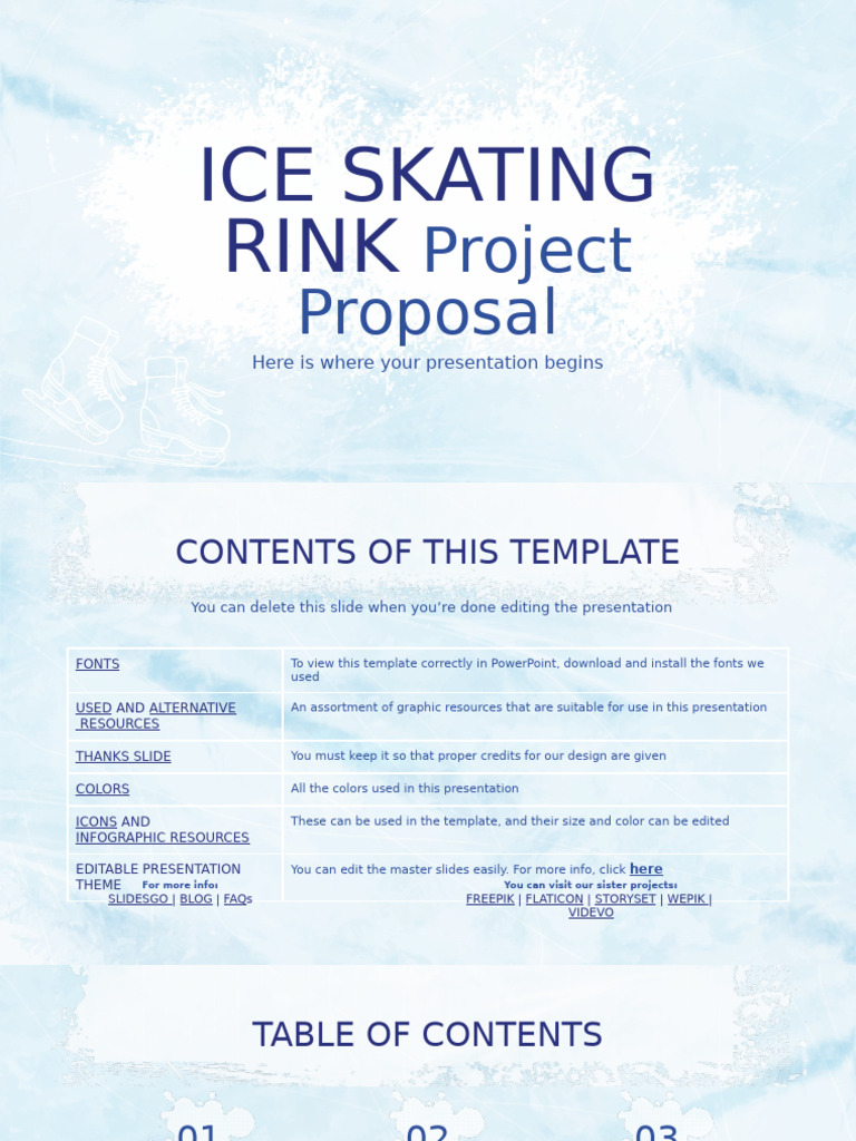Ice Skating Rink Project Proposal | PDF | Expense | Customer ...