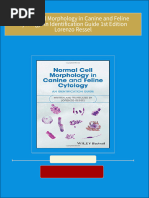Cyniclomyces Guttulatus | PDF | Pathology | Dogs