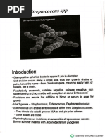 Streptococci Hemolysis Types Explained | PDF | Streptococcus | Microbiology