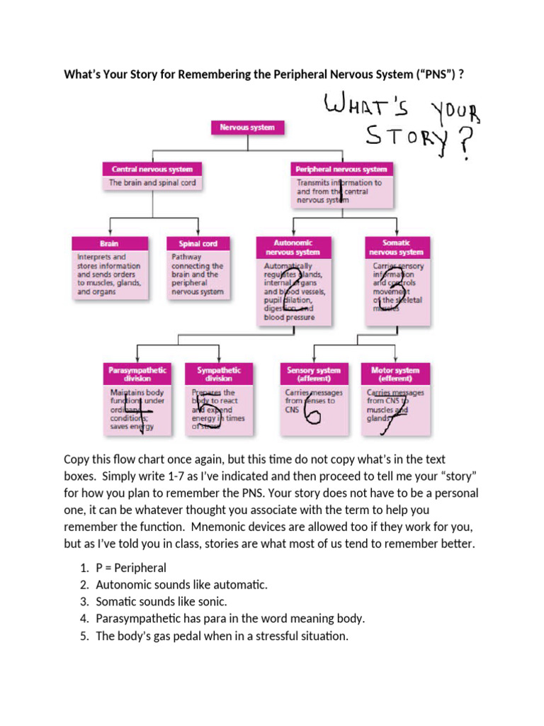 PNS Story Chart | PDF