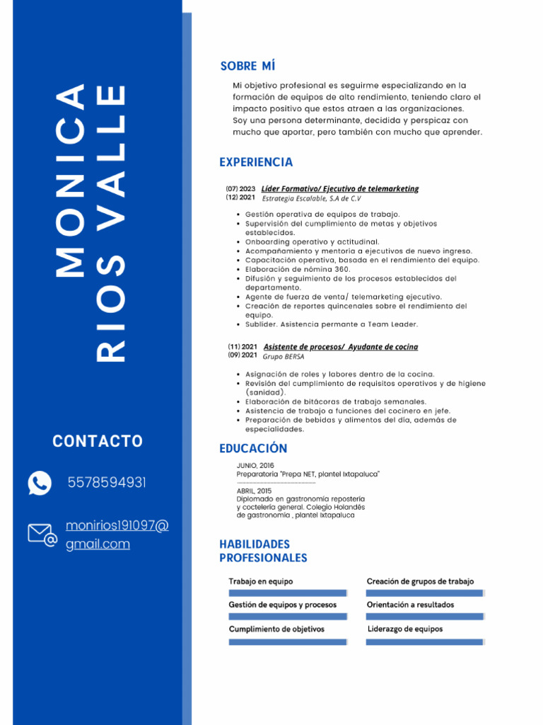 CV - Monica Rios Valle | PDF
