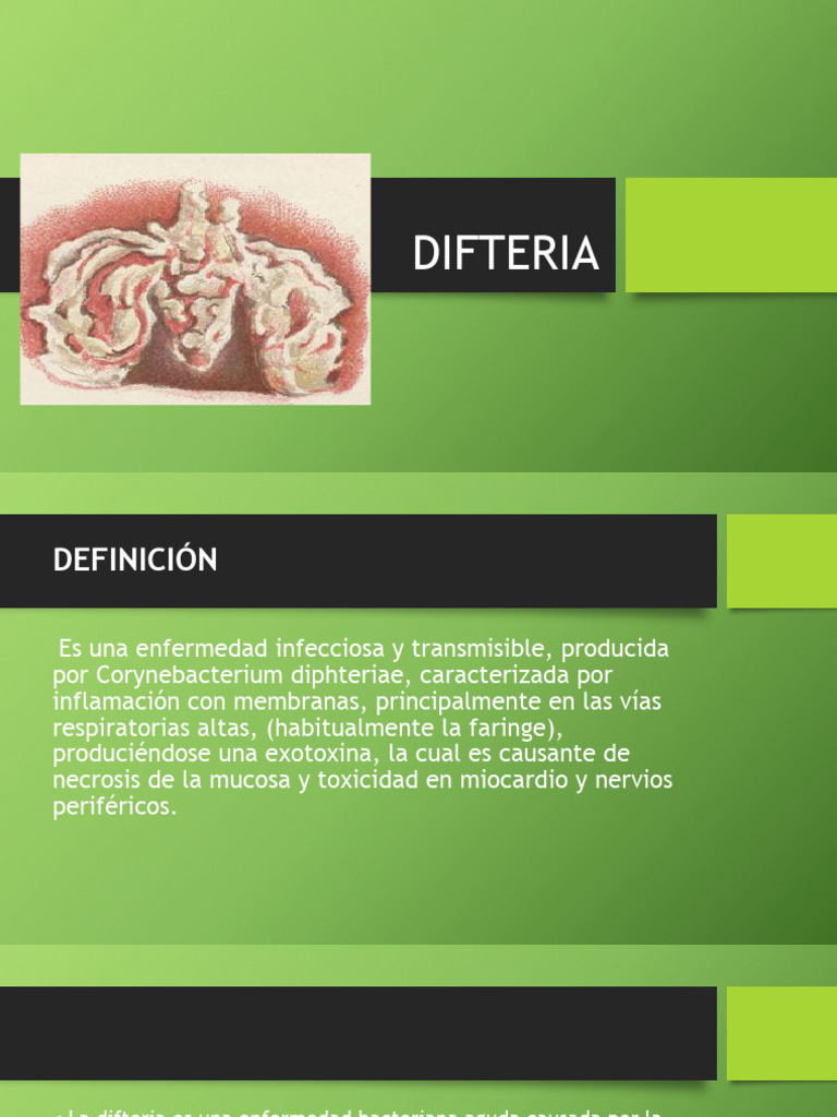 Difteria Micro Modulo 3 | PDF | Especialidades Medicas | Enfermedades y trastornos