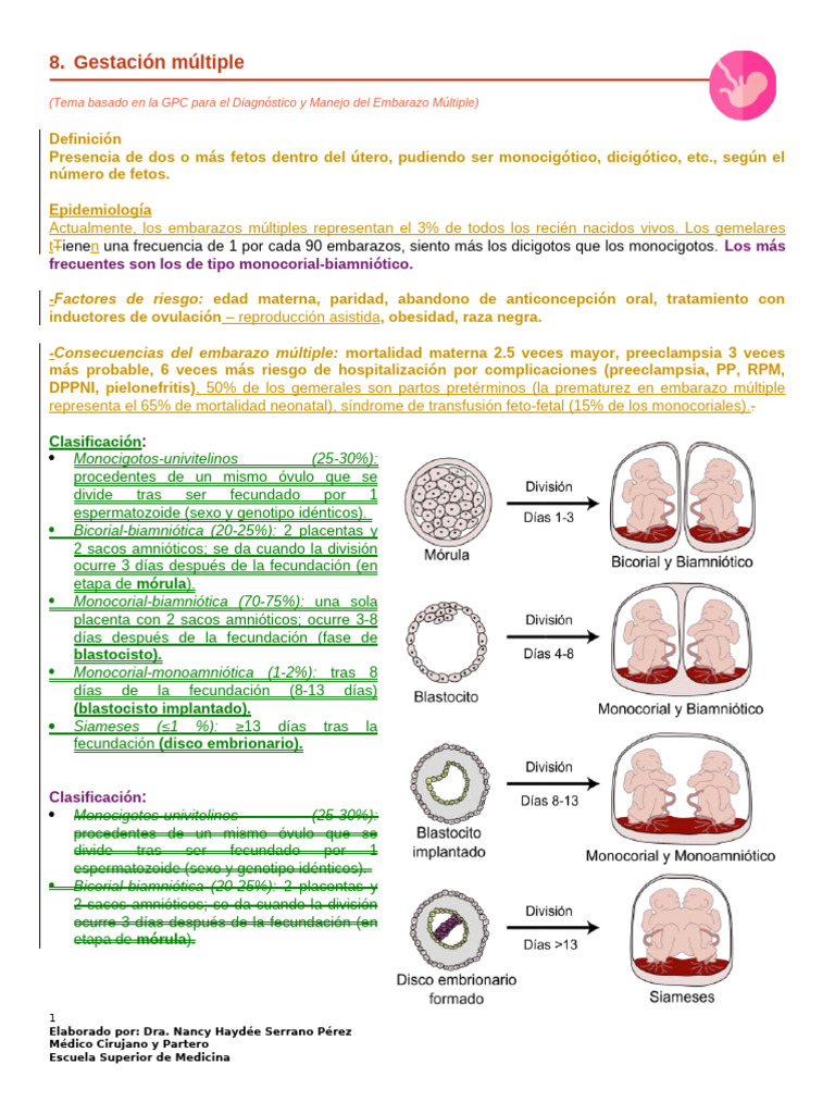 Gestación Múltiple | PDF | Nacimientos Múltiples | El embarazo