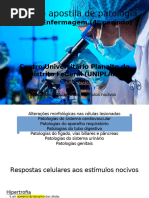 Tynna Bula, para Que Serve e Como Usar CR | PDF | Doenças e distúrbios ...