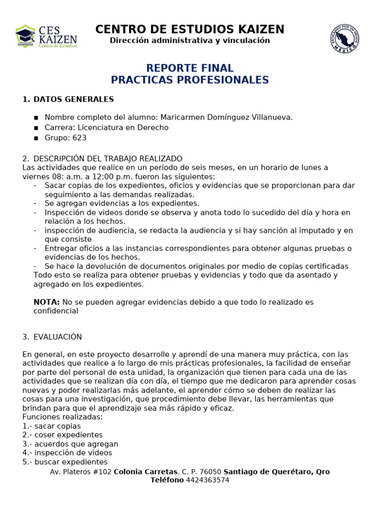Reporte Final - Practicas Profesionales | PDF