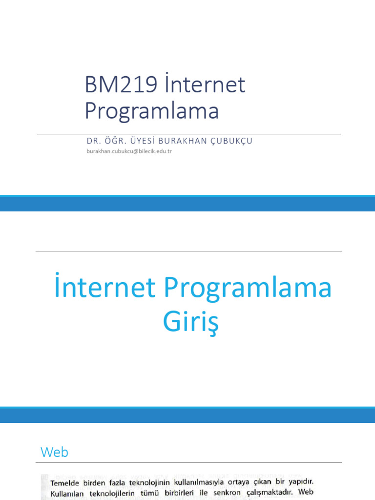 Internet Programlama - 1 | PDF