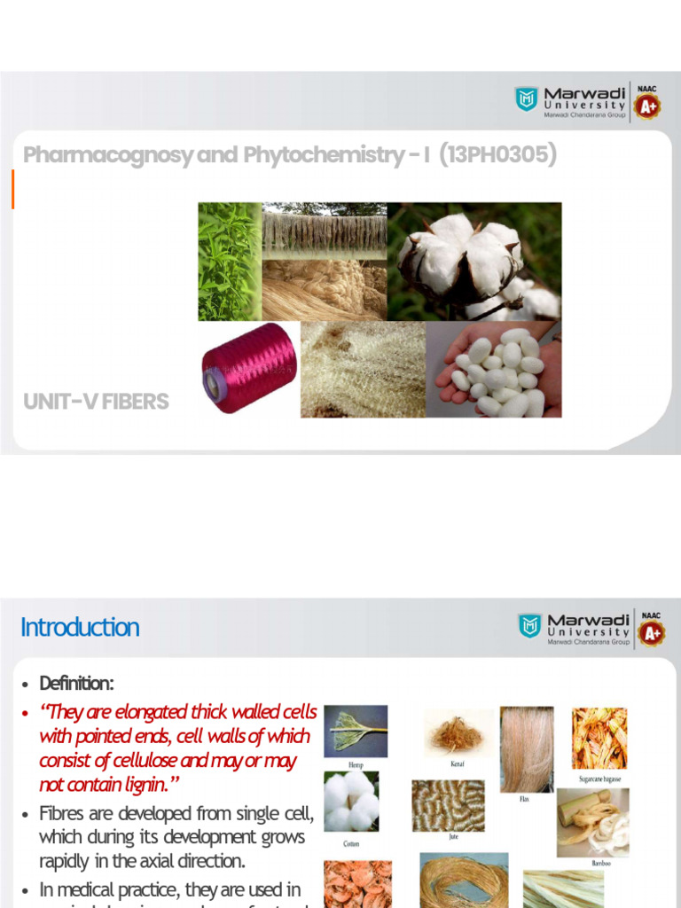 EContent 11 2024 12 18 08 25 09 UNITVFIBERSpdf 2024 10 16 10 01 56 ...