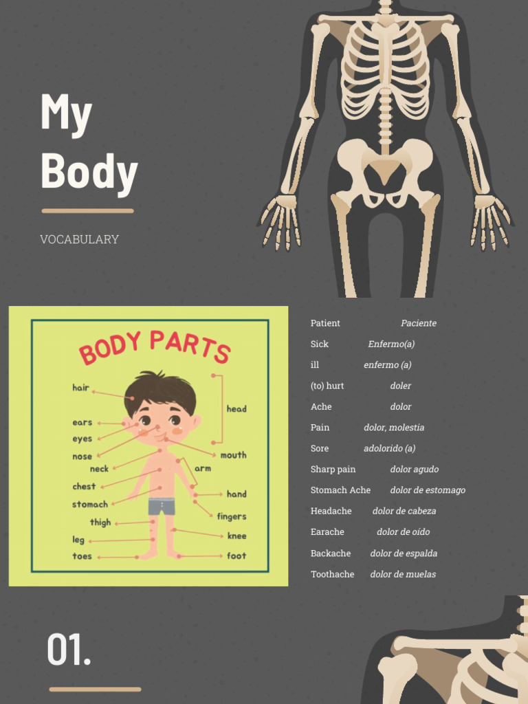 My Body | PDF