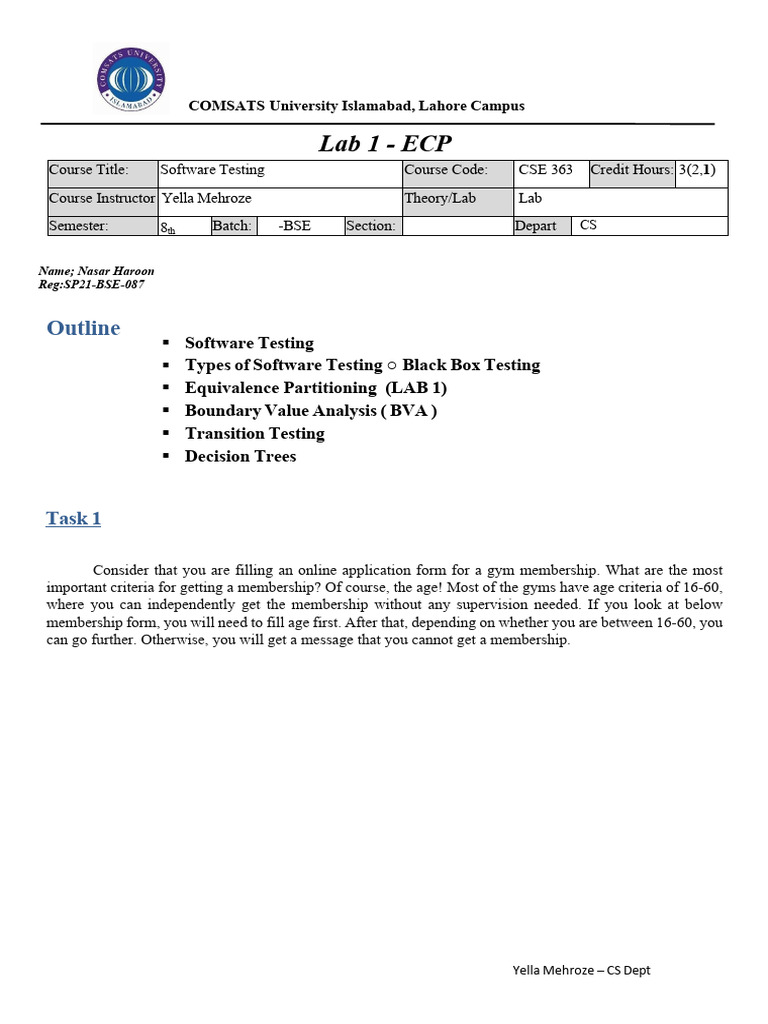 LAB 1 - ECP | PDF | Software Testing | Applied Mathematics