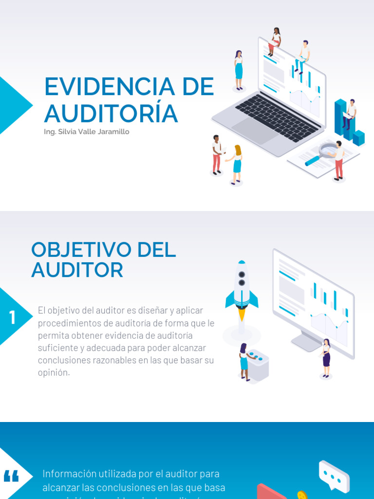 Evidencia de Auditoría: Definición y Fuentes | PDF | Auditoría | Contralor