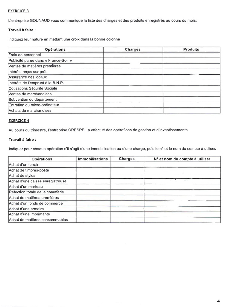 TD N° 3 - Exo plan comptable | PDF