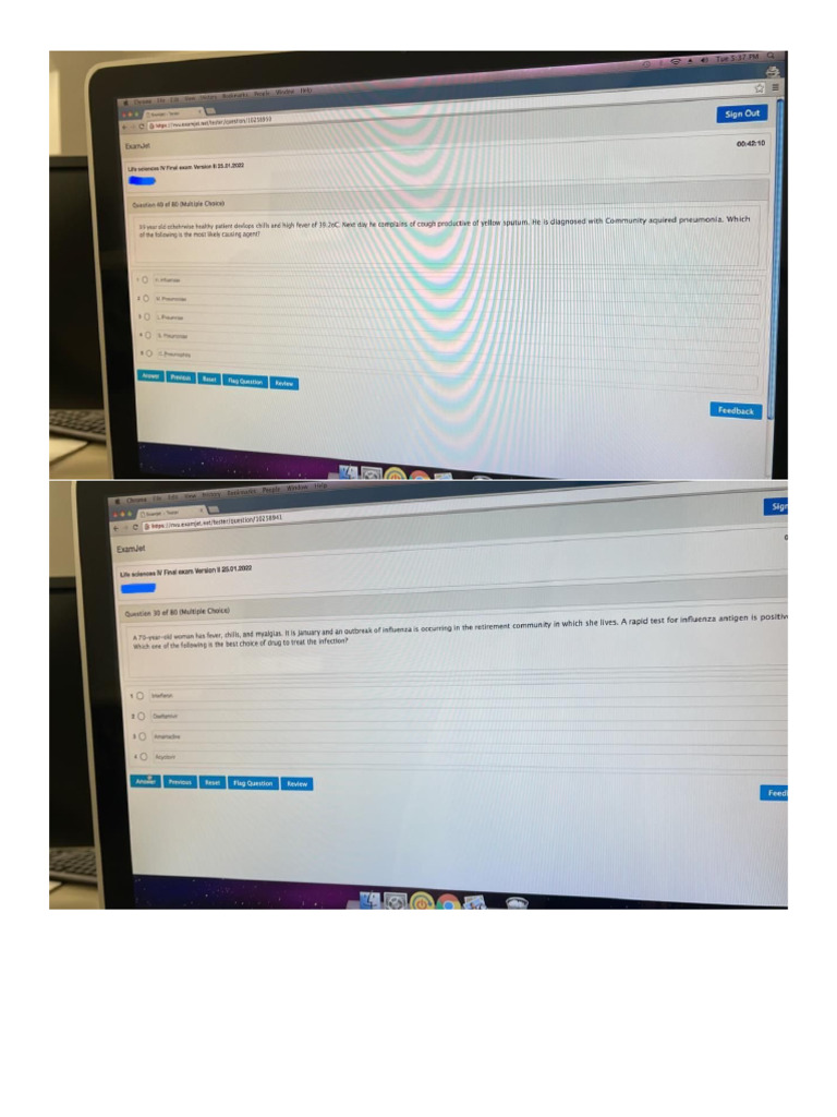 Life Version 2021 | PDF