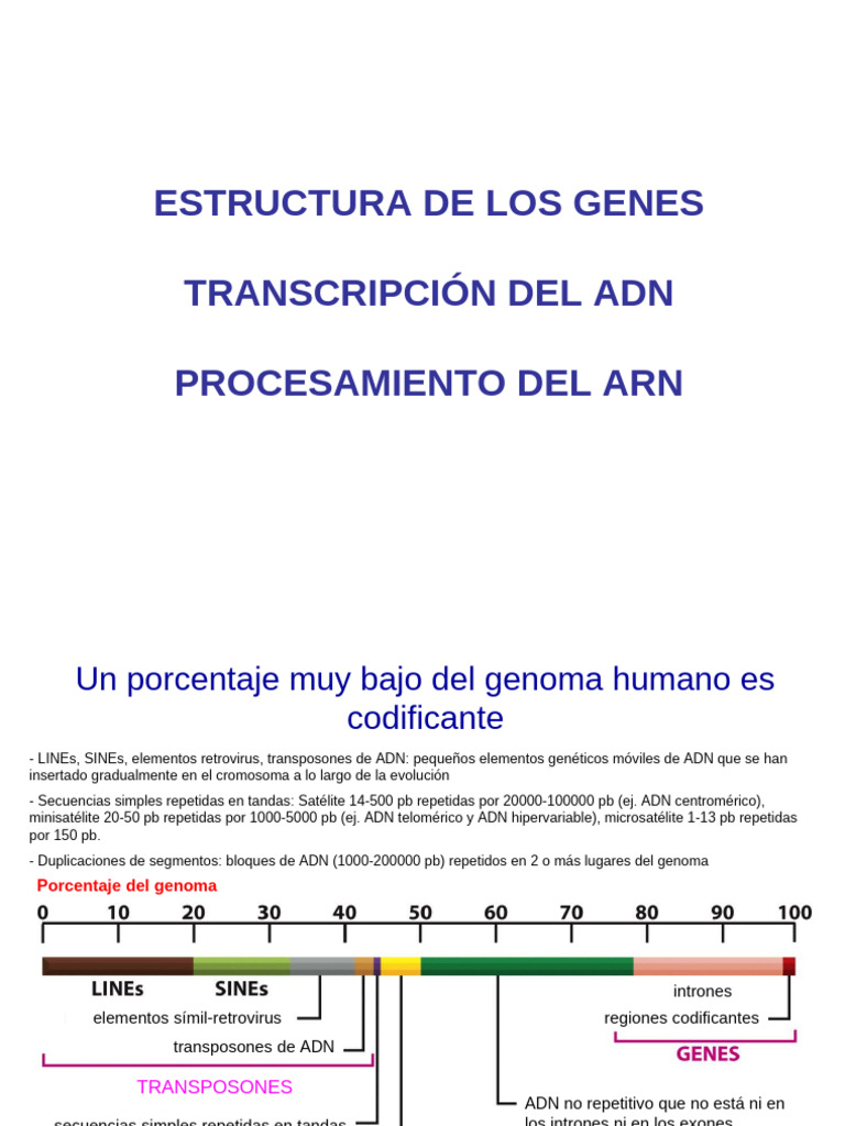 Transcripción y procesamiento del ARN | PDF | Rna Splicing | Rna