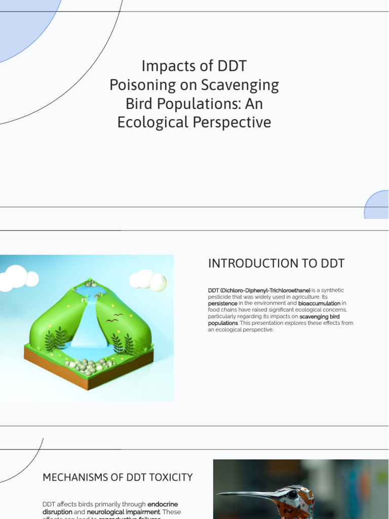 DDT's Effects on Scavenging Birds | PDF