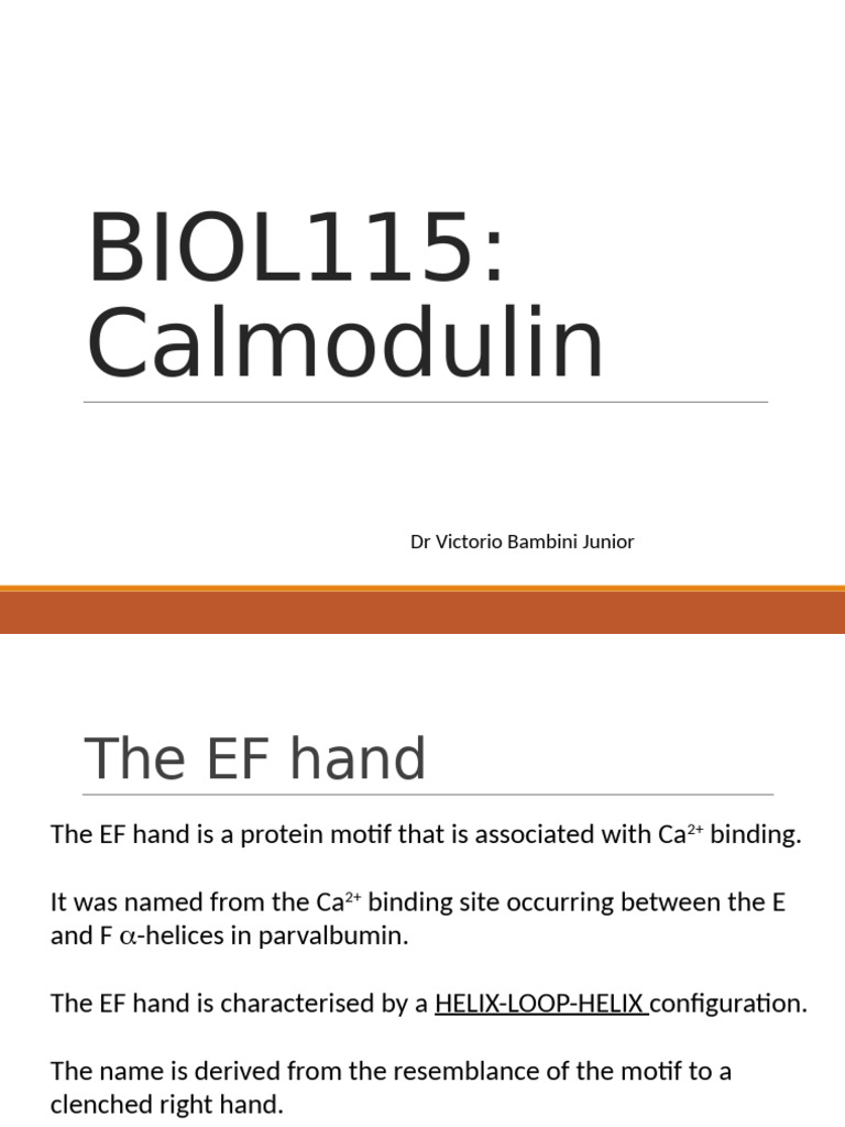 BIOL115 2022 Lecture 2 Calmodulin - No Quiz | PDF | Ligand ...