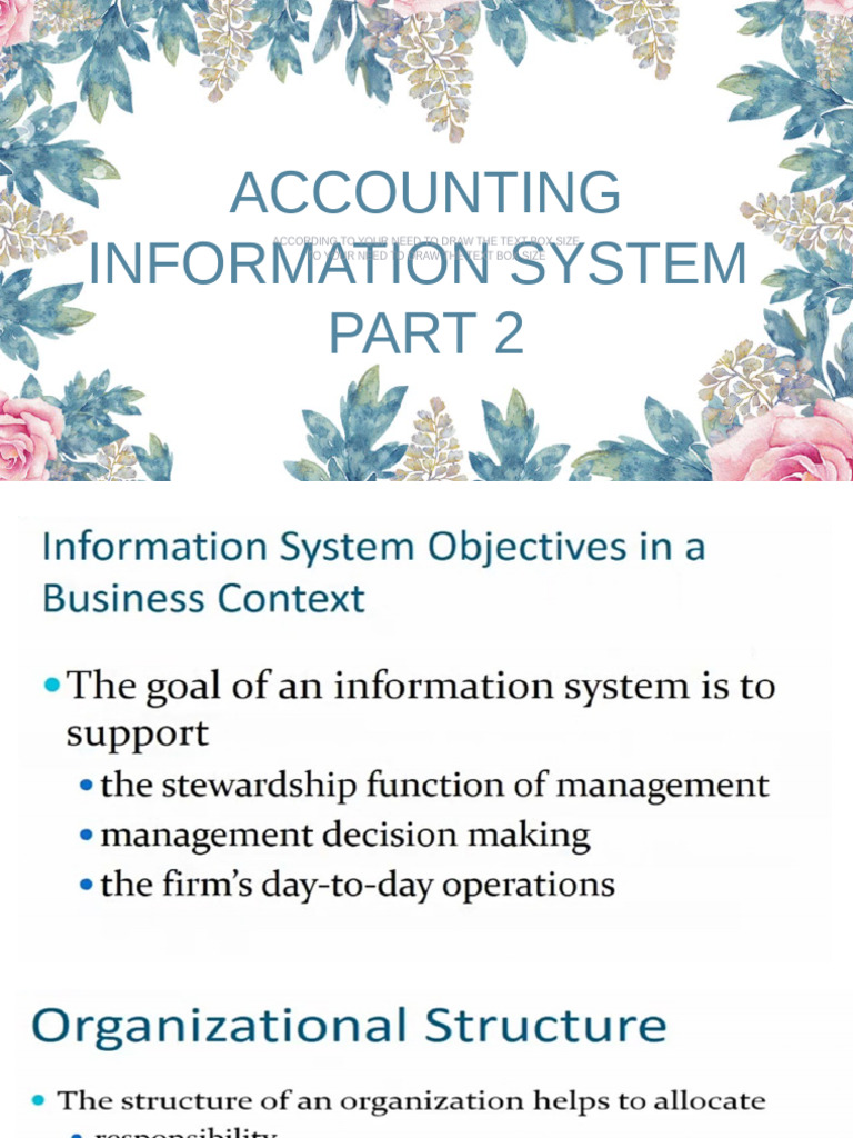 Accounting Info System Guide | PDF
