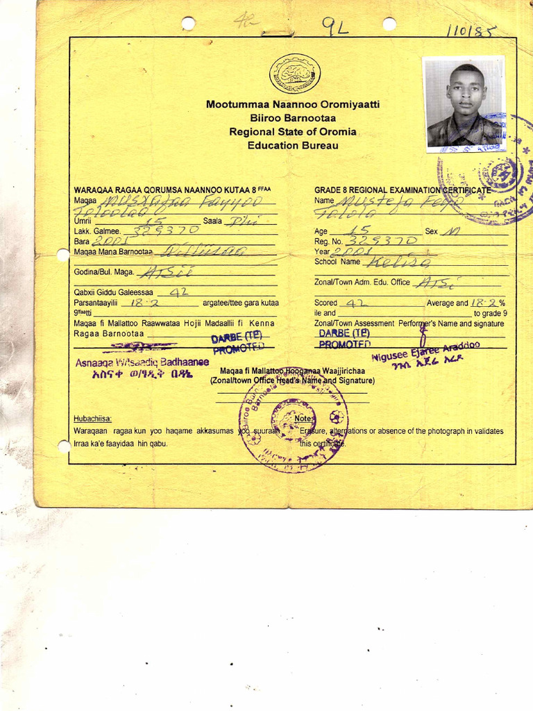 Muste Documente | PDF