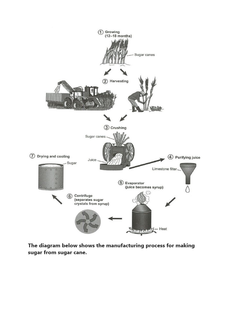 homework-process | PDF
