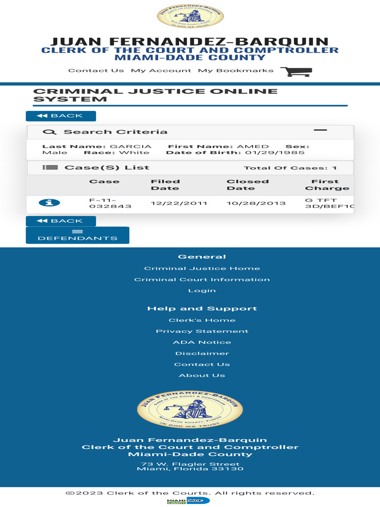 Miami-Dade Criminal Justice Overview | PDF