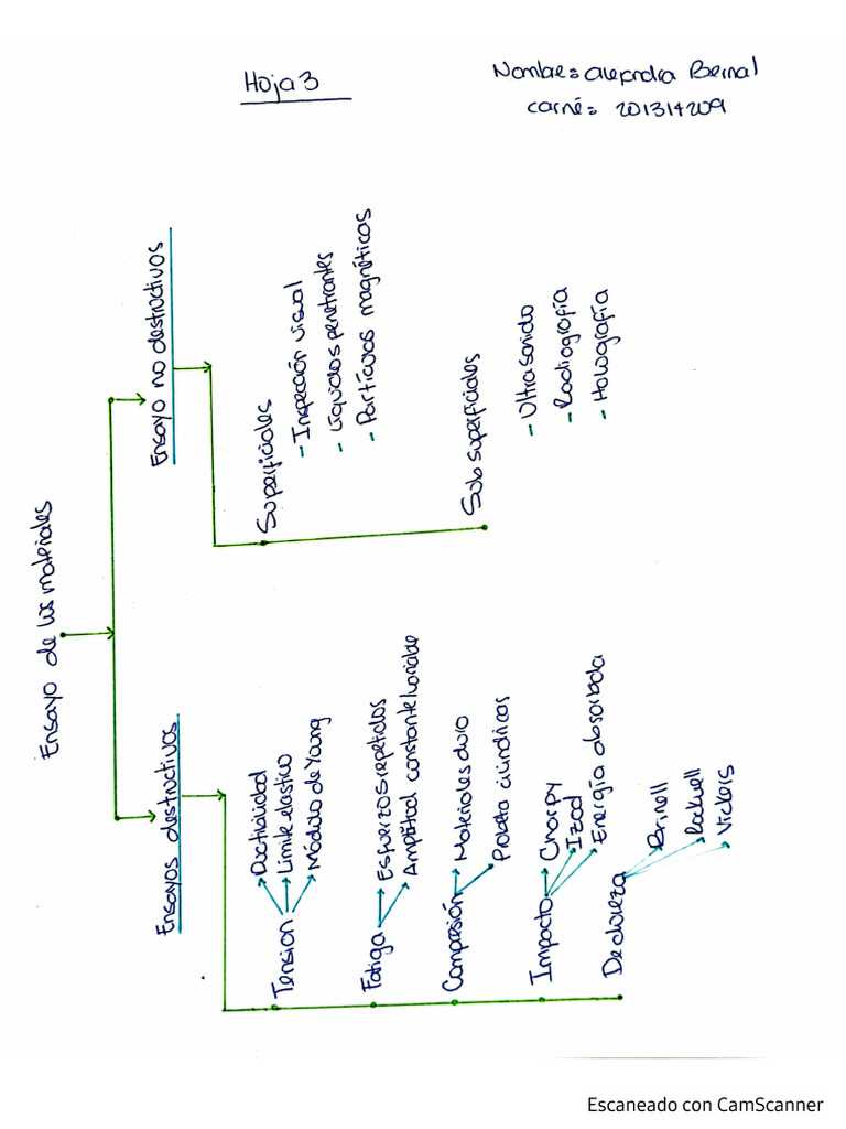 H03 - Alejandra Bernal | PDF