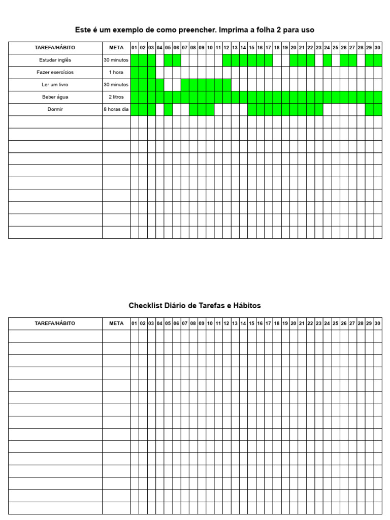 BÔNUS - Planilha de Checklist Diário | PDF