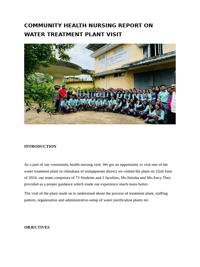 Community Health Nursing Treatment Plan Visit Report | PDF | Water ...