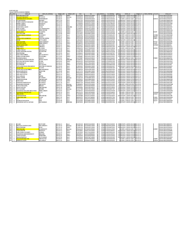 Data Pip Yg Sudah Cair Dana Sudah Masuk | PDF