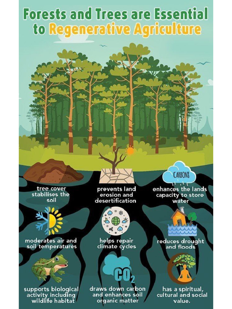 Environment and Climate Changes | PDF