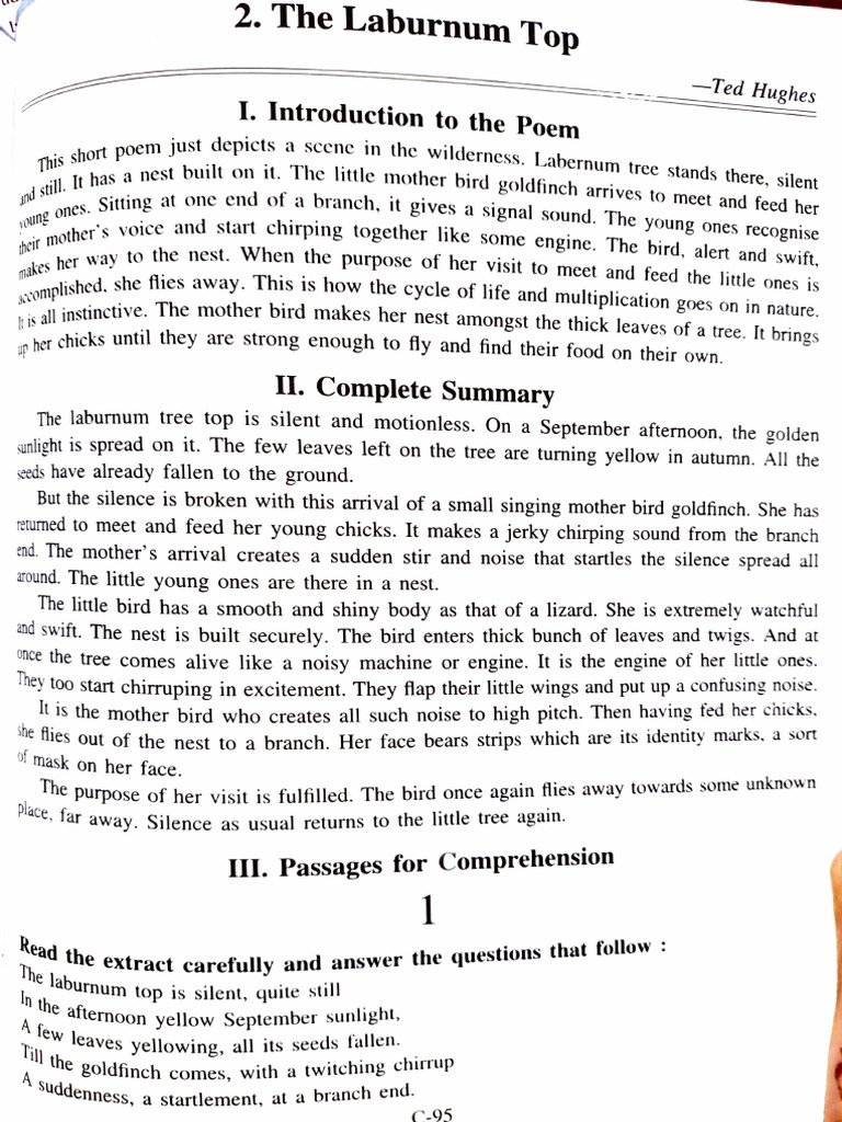 The Laburnum Top- Ted Hughes | PDF