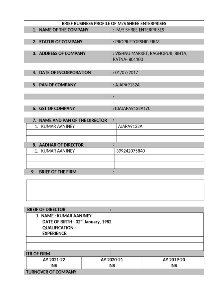Shree Enterprises Business Profile | PDF
