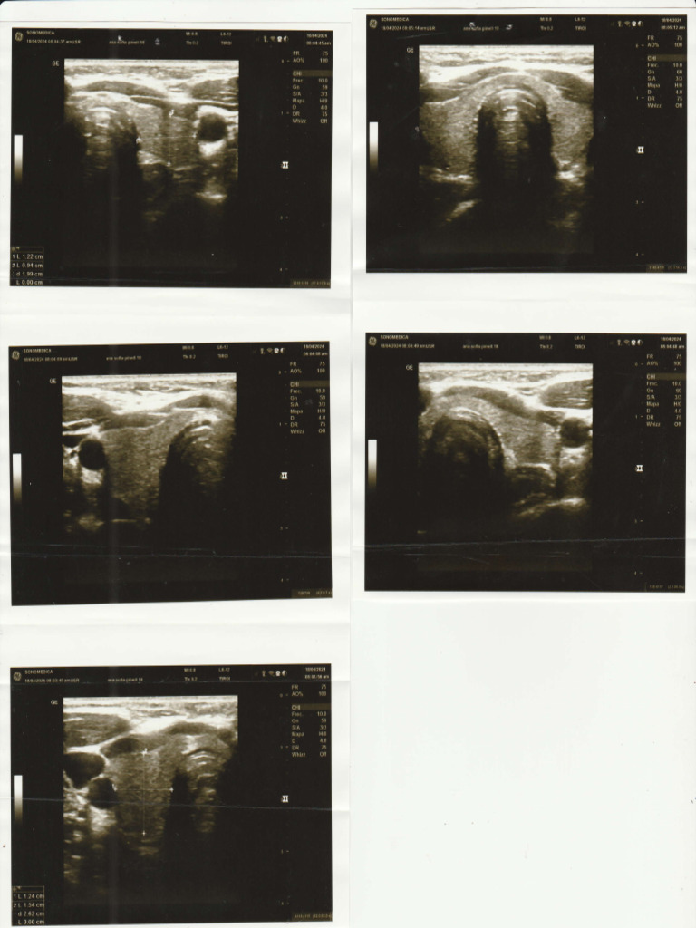 Img 20240428 0001 | PDF