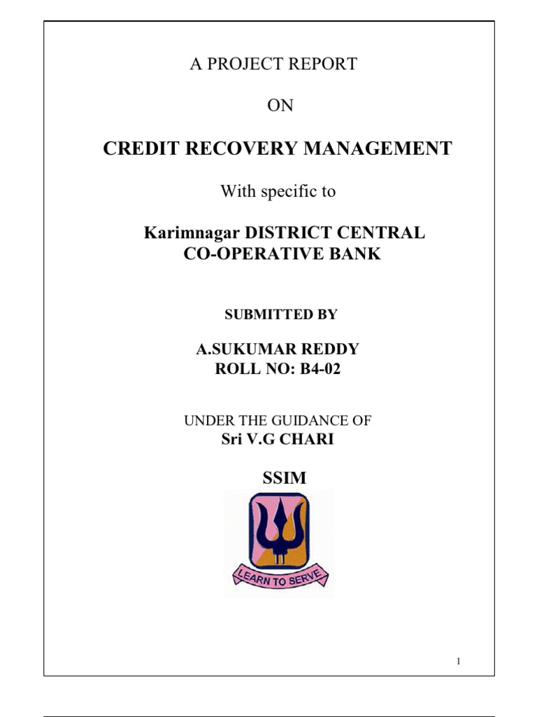 Iip Project Download Free Pdf Cooperative Banks