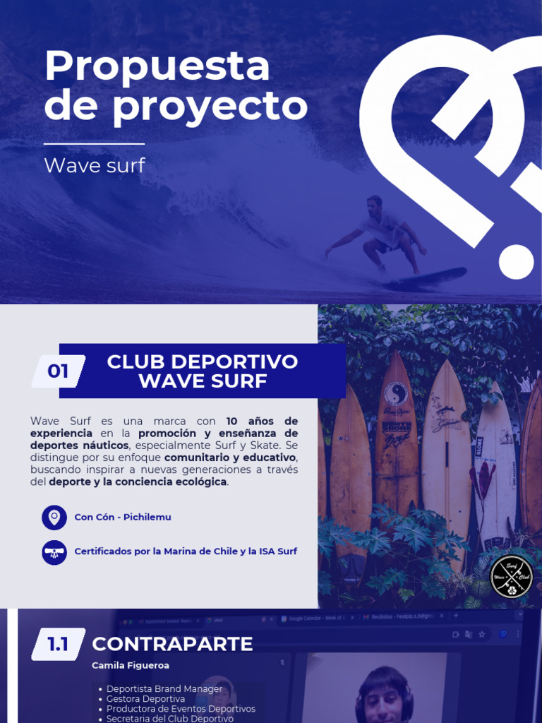 Presentación Proyecto | PDF | Usabilidad