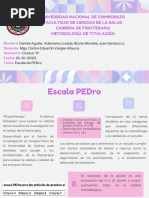 Criterios de la Escala PEDro en Español | PDF | Tamaño del efecto ...