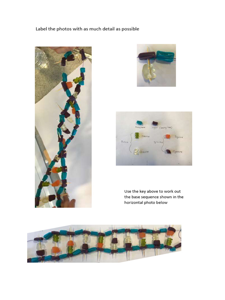Dna 44 | PDF