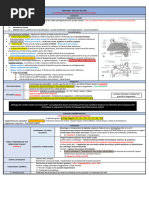 54 - Tamponnement Nasal Anterieur | PDF | Tête et cou chez l'humain ...