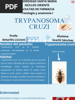 Triatominos: Vectores de Chagas | PDF | Biología