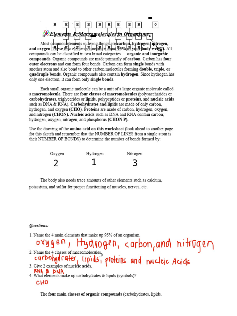 Biology+1+-+Carbon+Based+Molecules | PDF | Carbohydrates | Lipid