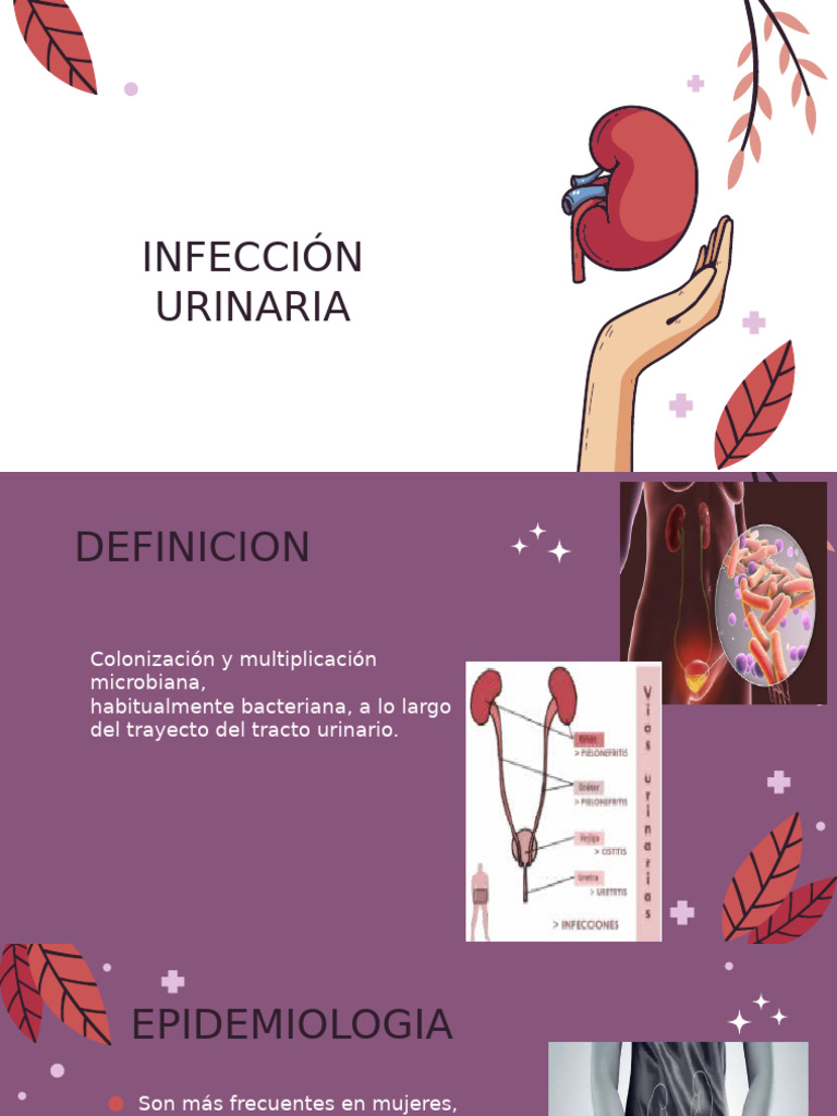 Infecciones Urinarias: Clasificación y Tratamiento | PDF | Infección ...