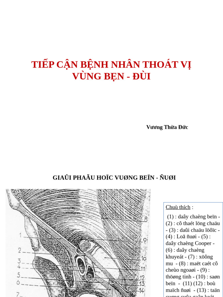 7. Tiếp cận BN TVB Y3 | PDF