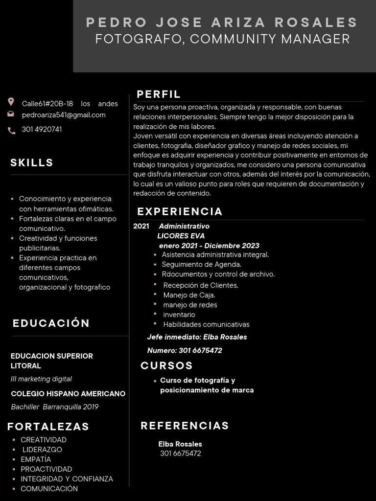 CV de Pedro Ariza PDF | PDF | Comunicación humana