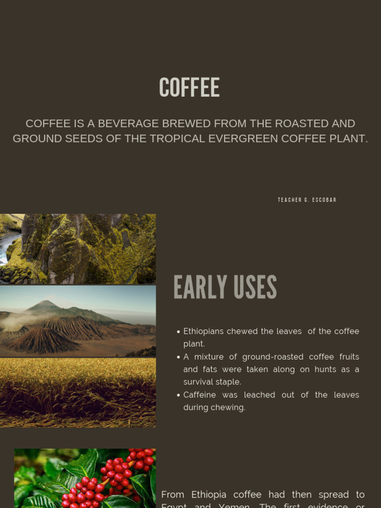 COFFEE | PDF | Coffee | Trees