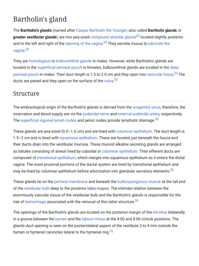 Bartholin's gland | PDF | Animal Anatomy | Mammal Reproductive System