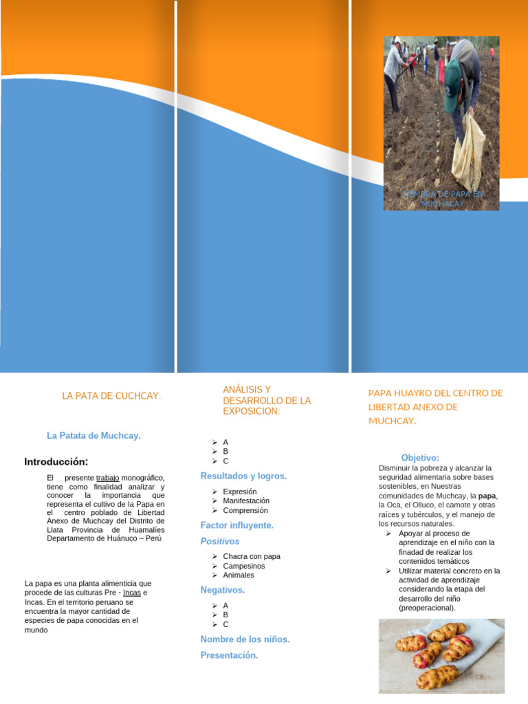TRIPTICO 2 | PDF | Patata | Aprendizaje