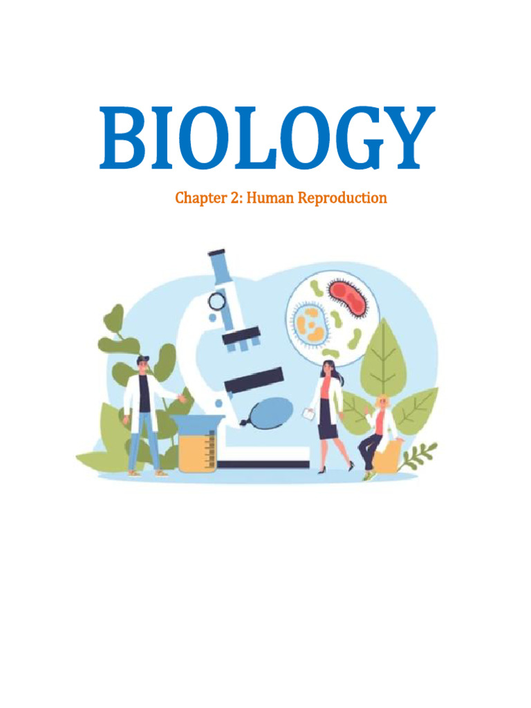 Human Reproduction Overview | PDF | Menstrual Cycle | Endocrine System