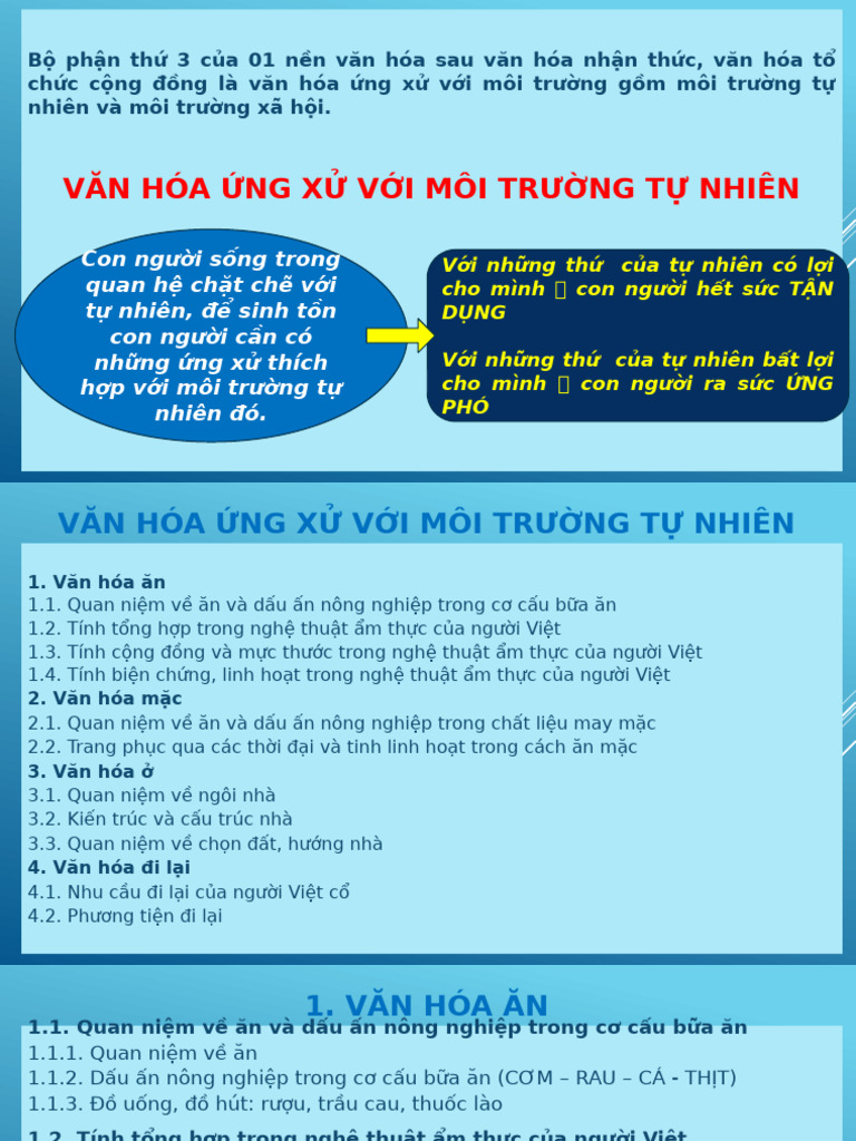 BÃ I 5 1 VÄ N HÃ³a Ä N Pdf