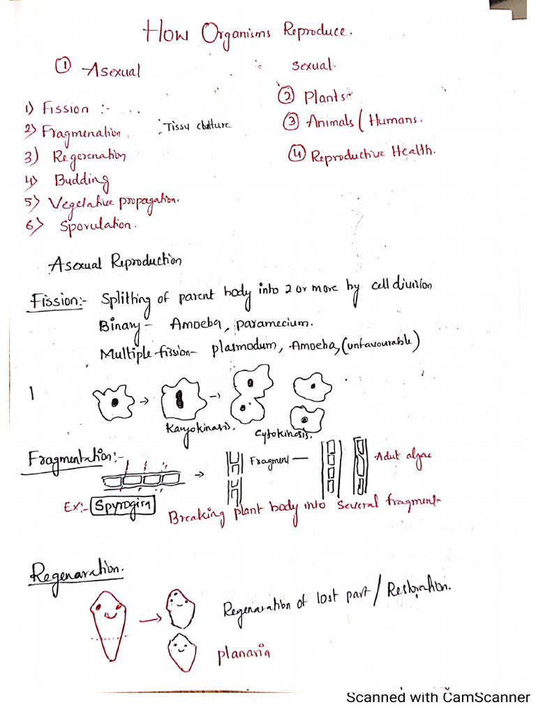 How Do Organisms Reproduce | PDF